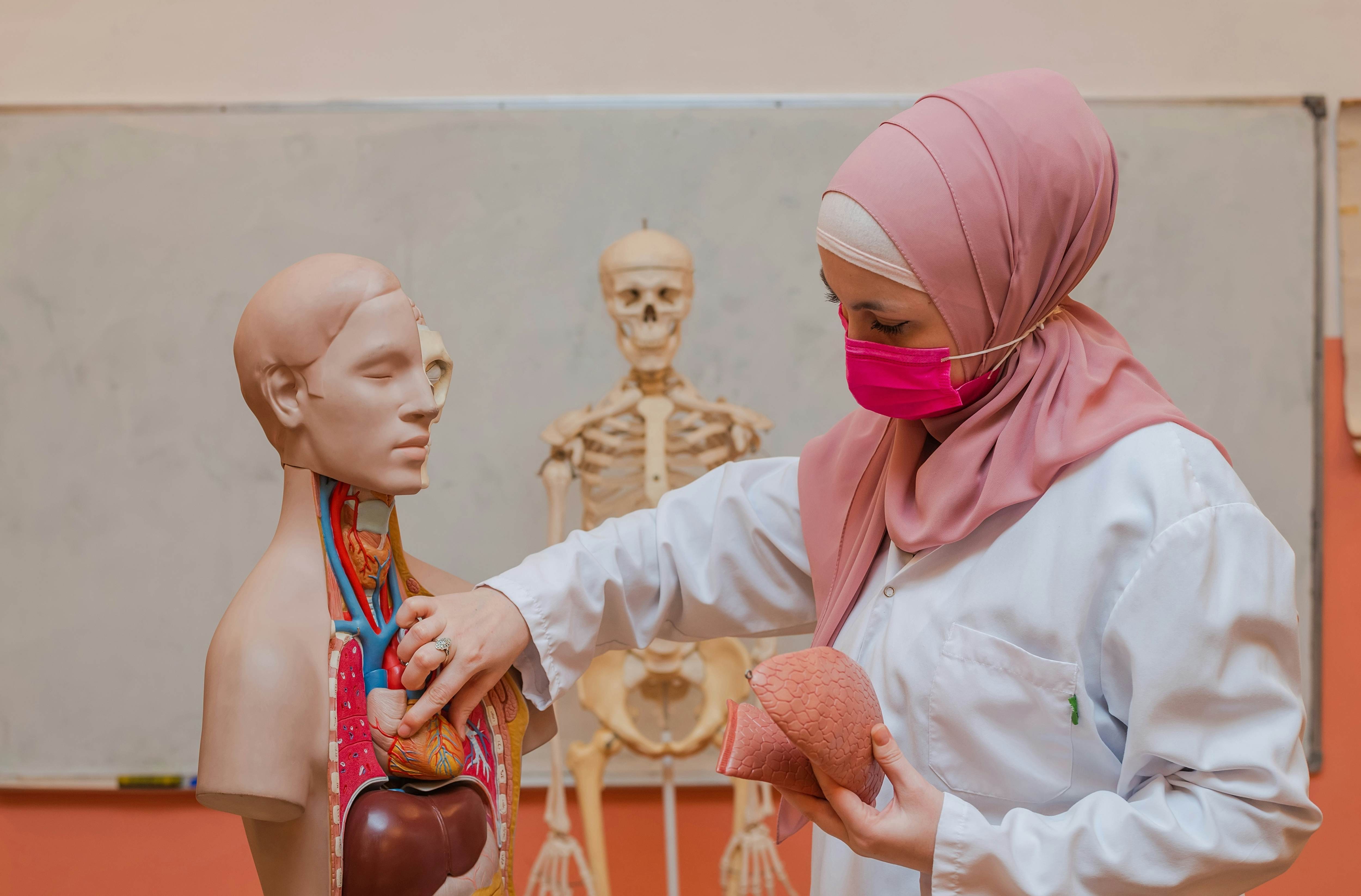 Top 10 Most Popular Bachelor’s Degrees for 2025 | Bachelorsportal