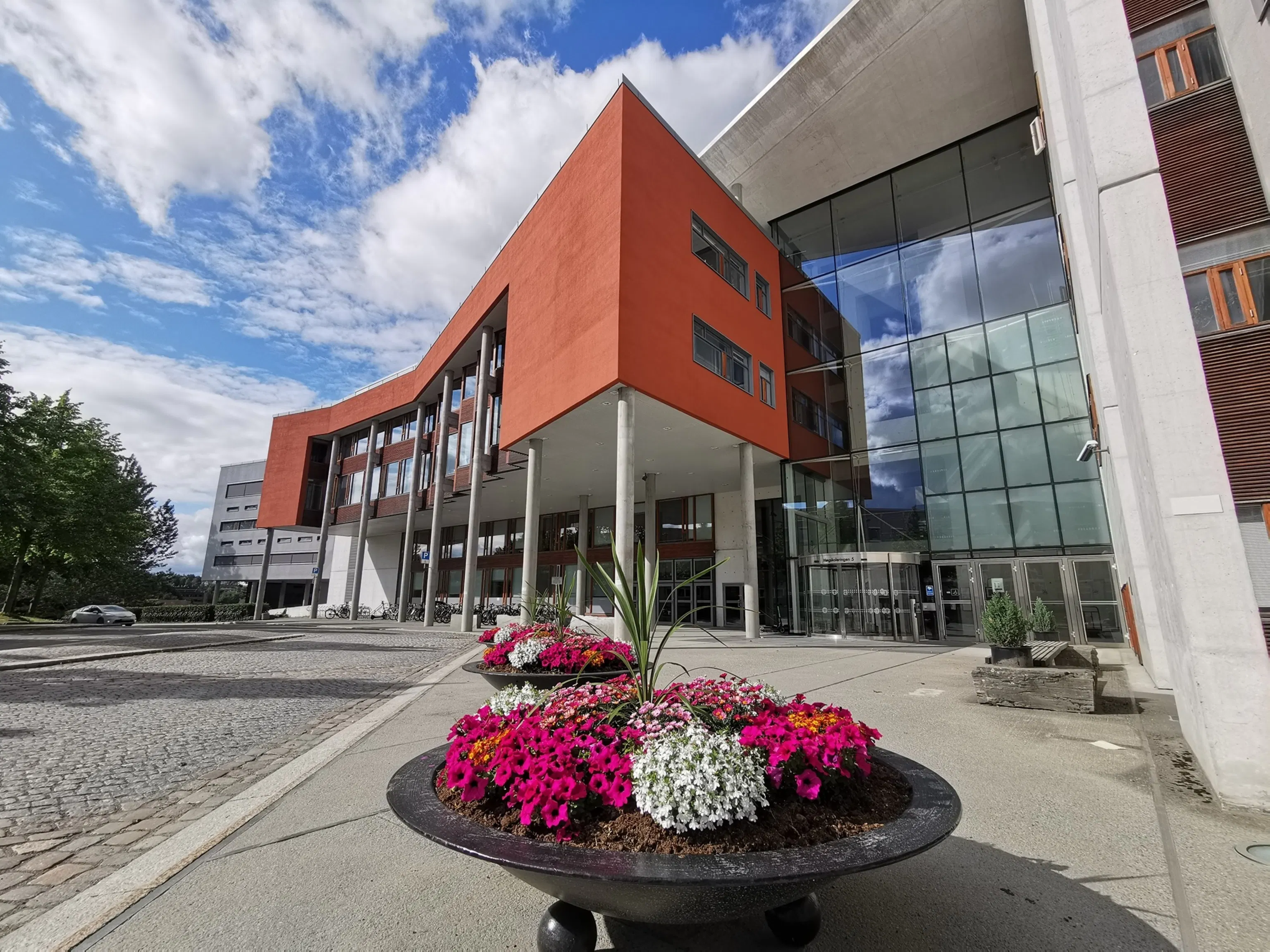 Biotechnology, M.Sc. | Norwegian University of Science and Technology ...