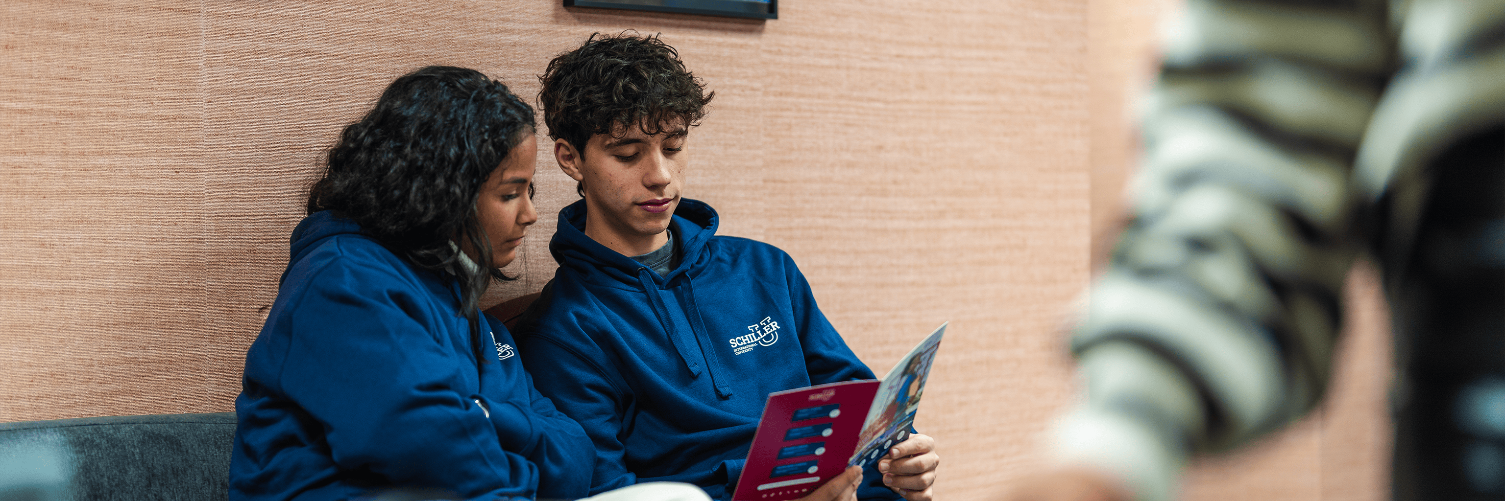 International Relations and Diplomacy B.A. at Schiller International ...