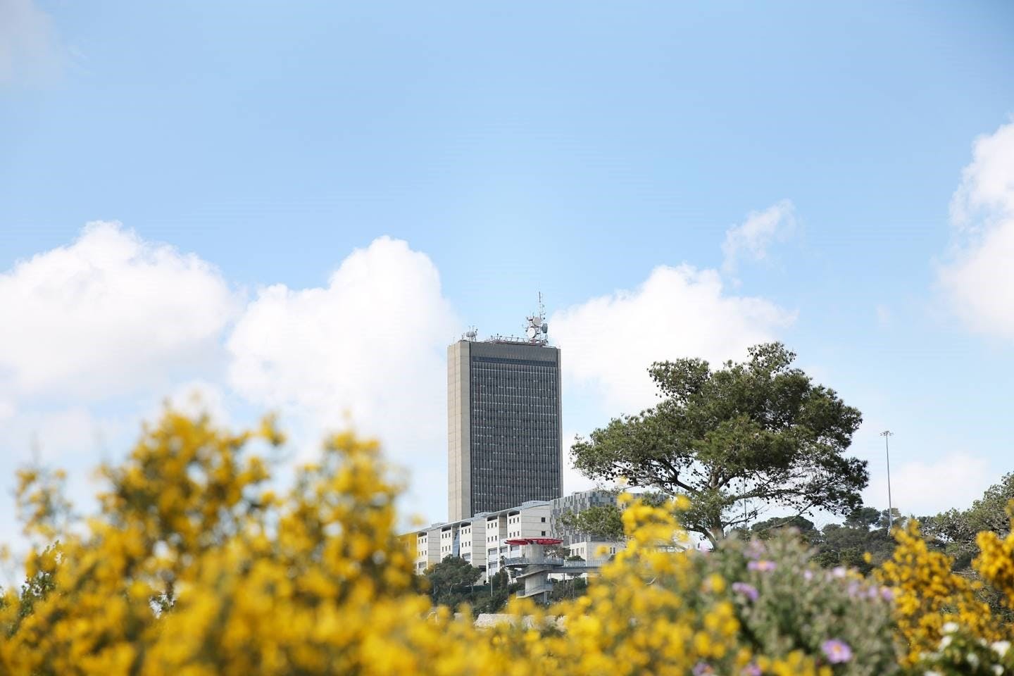 University of Haifa | University Info | 18 Masters in English ...