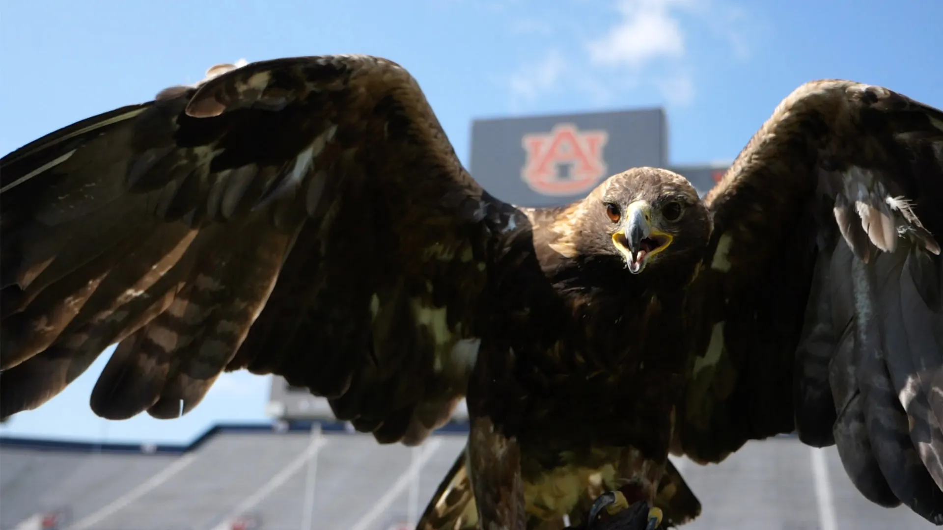 Aerospace Engineering Bachelor at Auburn University | Bachelorsportal