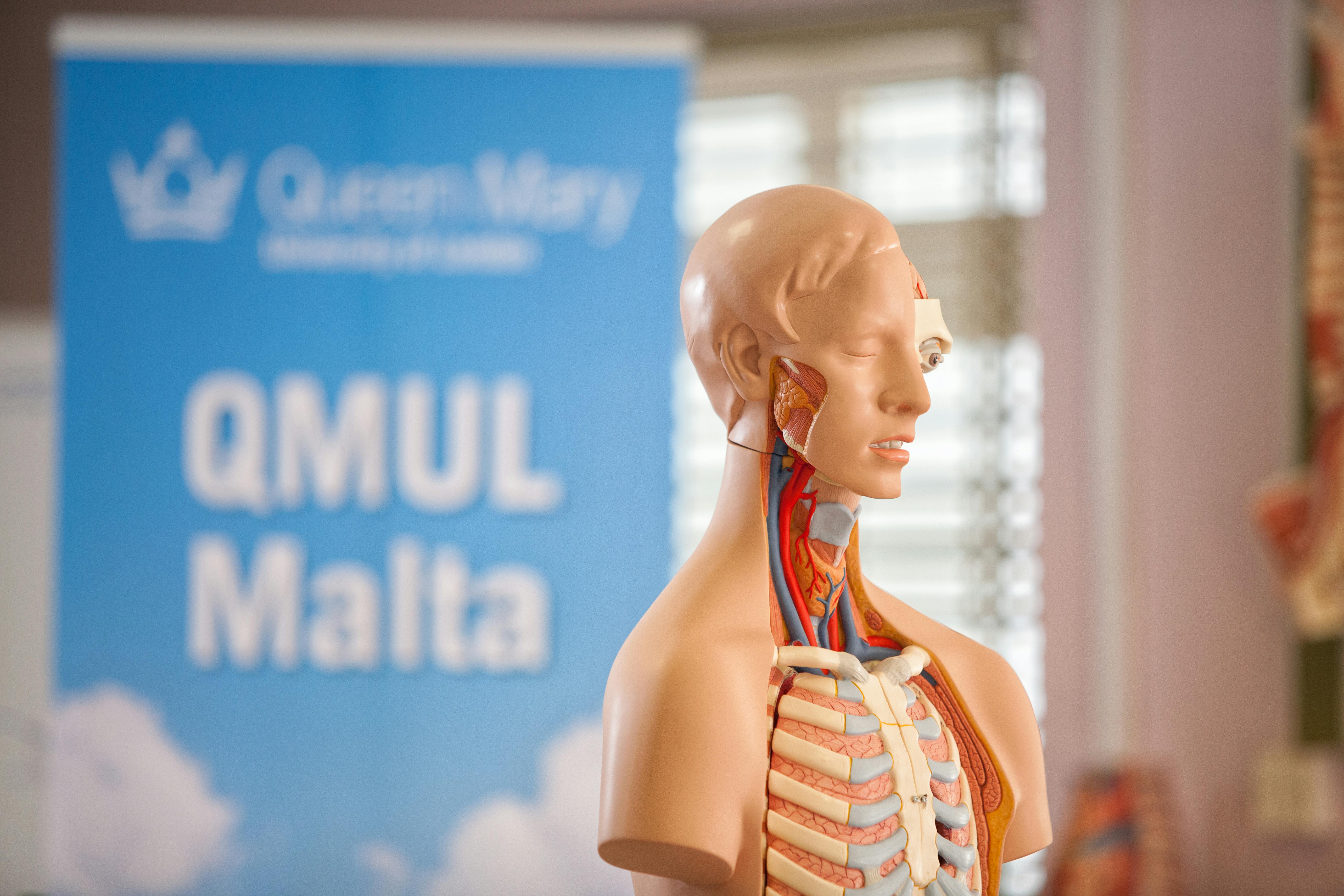 Medicine MBBS Malta Bachelor at Queen Mary University of London ...