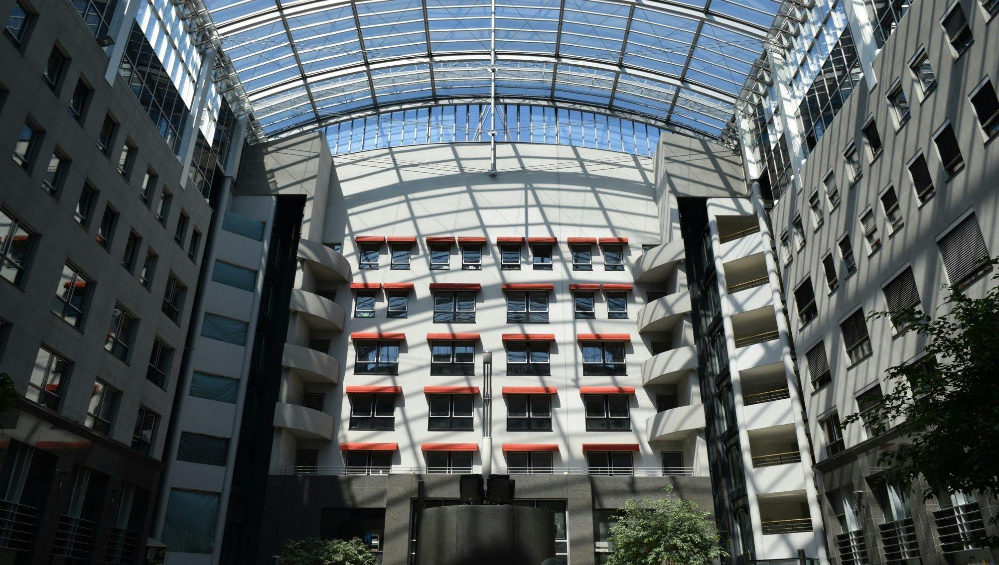 International Management (On-Campus) B.A. at IU International ...