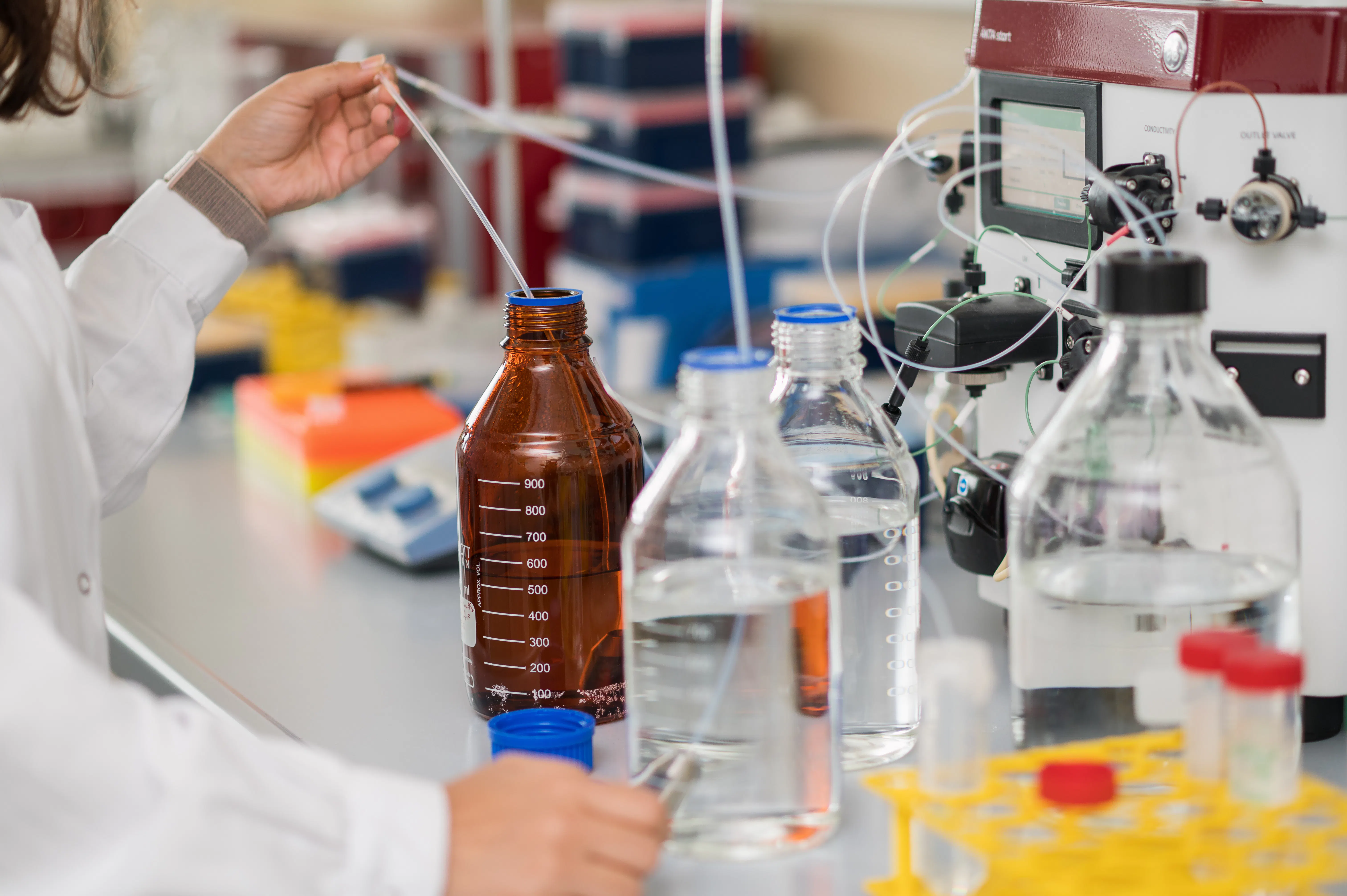 Interdisciplinary Master's Programme in Human–Animal Interactions M.Sc ...