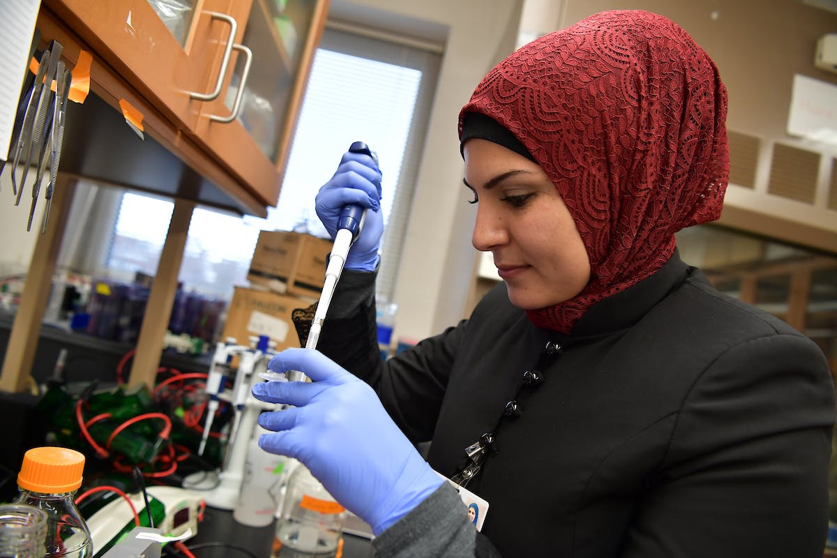 Veterinary Technology, Associate Degree | Kent State University | Kent ...